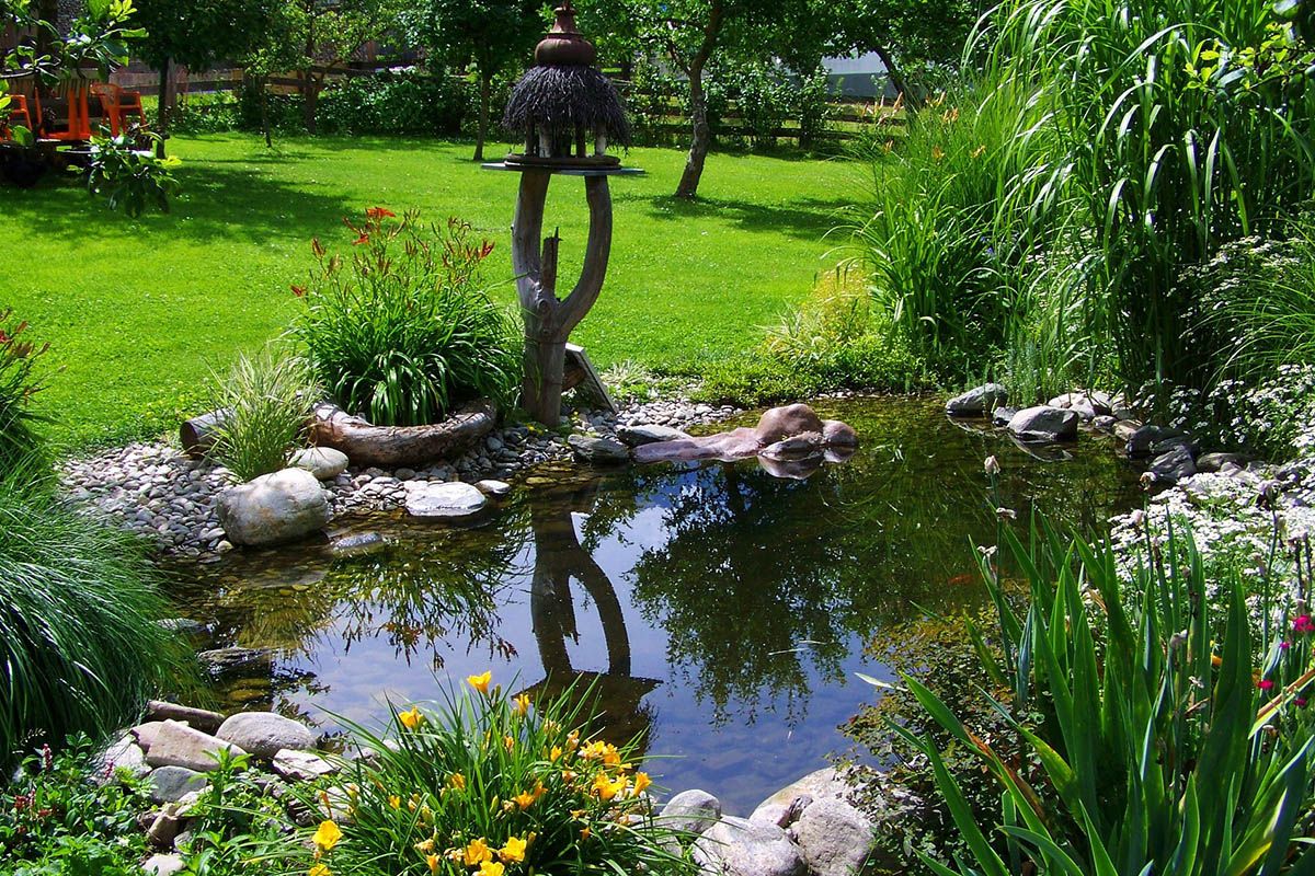 Naturehood Actions | Wildlife Ponds