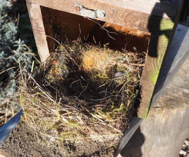 Naturehood Actions | Wildlife Housing