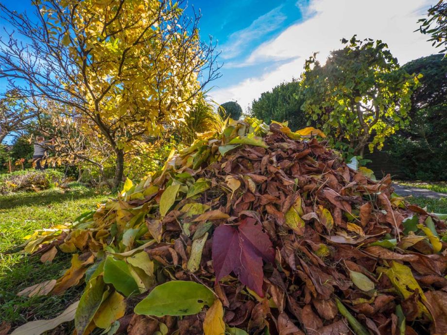 Naturehood Actions | Leaves Logs & Compost